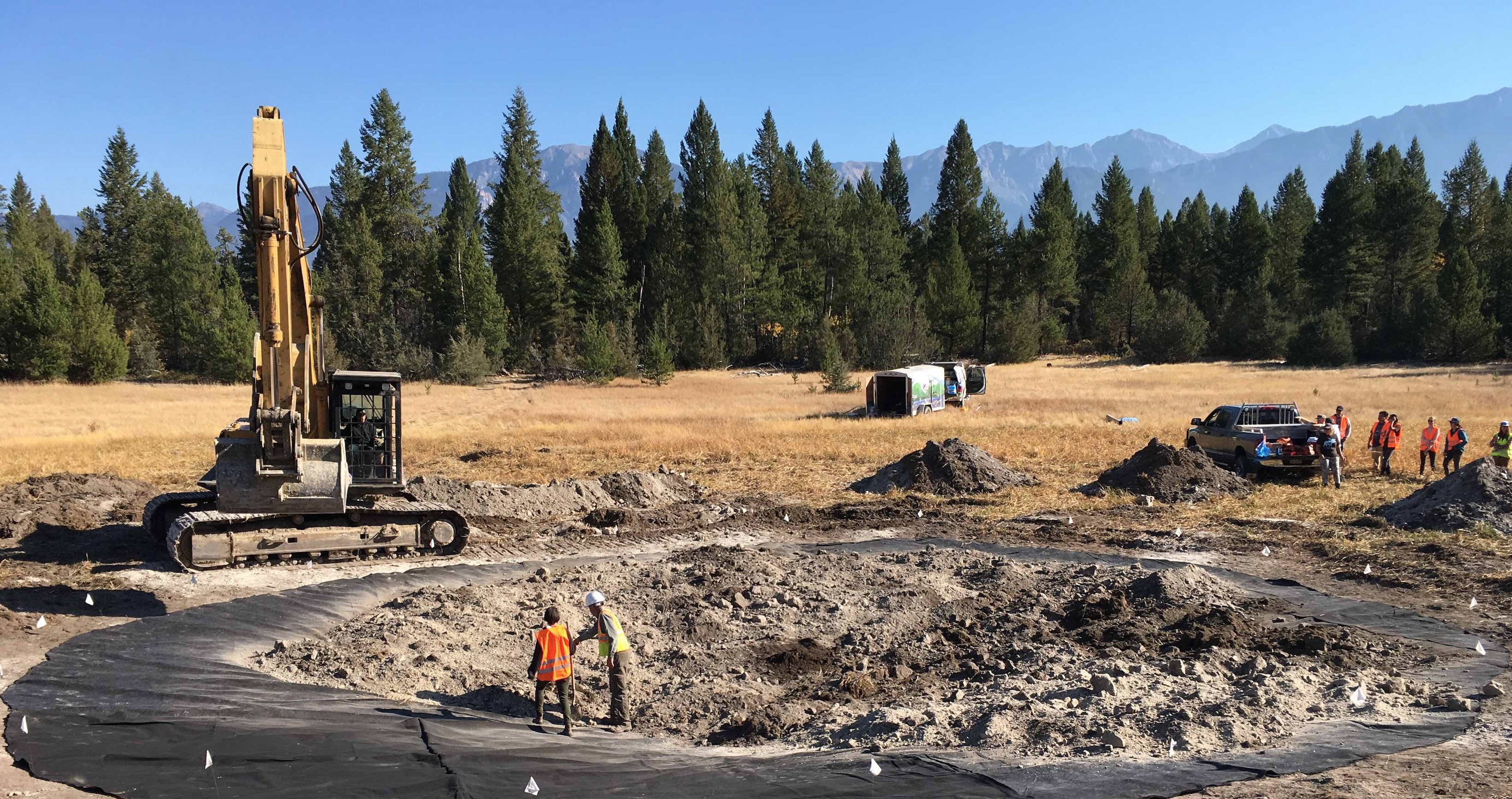 Field School: Wetland Enhancement and Monitoring 101 – Wings Over The ...